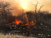 Charcoal Association of Namibia