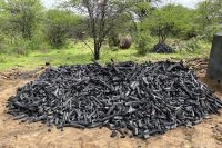 Charcoal Association of Namibia